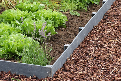 Flexboard Randbegrenzing Strook 2m lang x 20cm x 7mm Grijs (ecolat ...